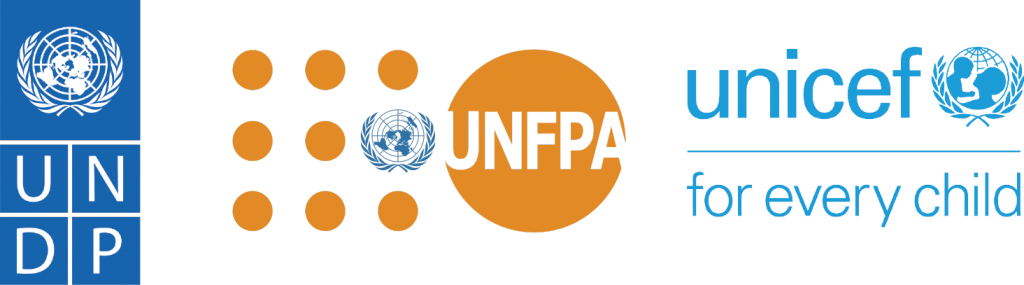 BUILDING CAPACITY AND MOMENTUM FOR RYCO – Regional Youth Cooperation Office