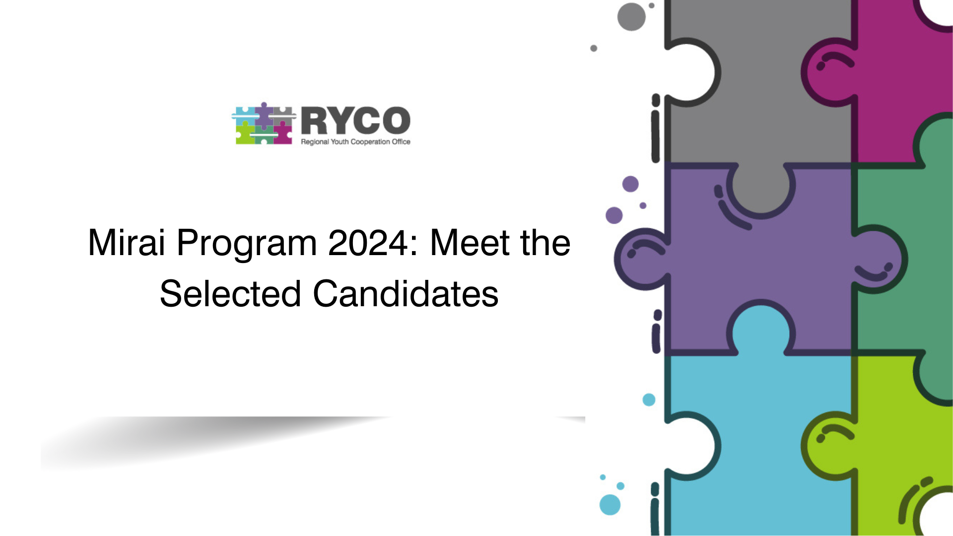 Final List of Participants of the MIRAI program 2024/2025 – Regional Youth Cooperation Office